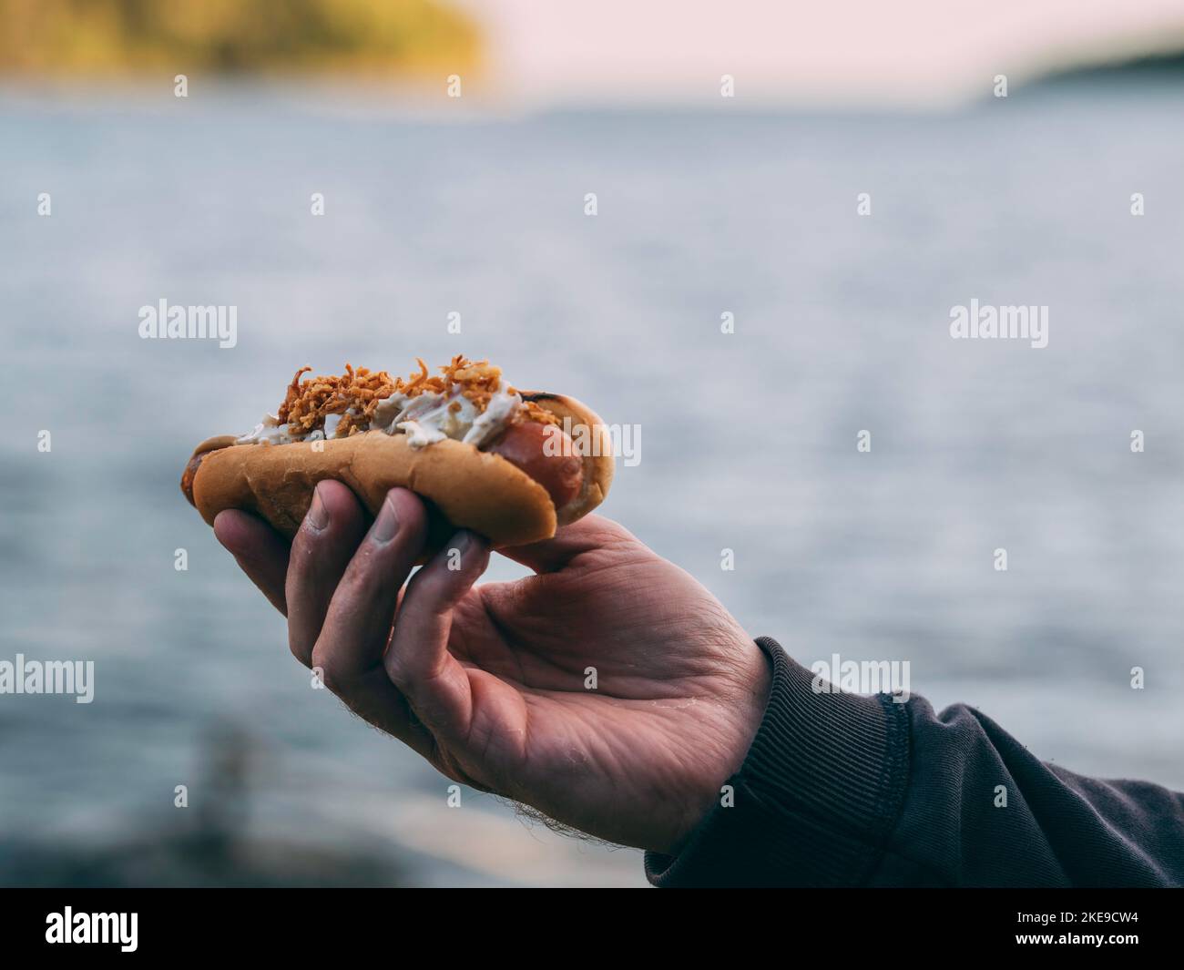 A human hand holding hot dog isolated in blurred background Stock Photo ...
