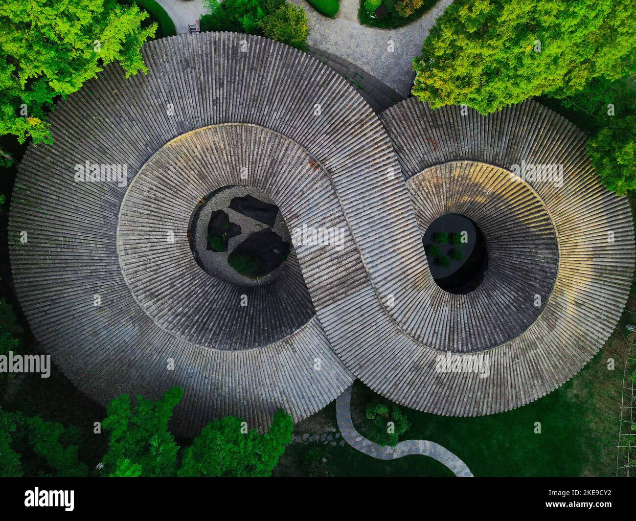 Aerial photos show a homestay hidden in the bamboo forest, which looks ...