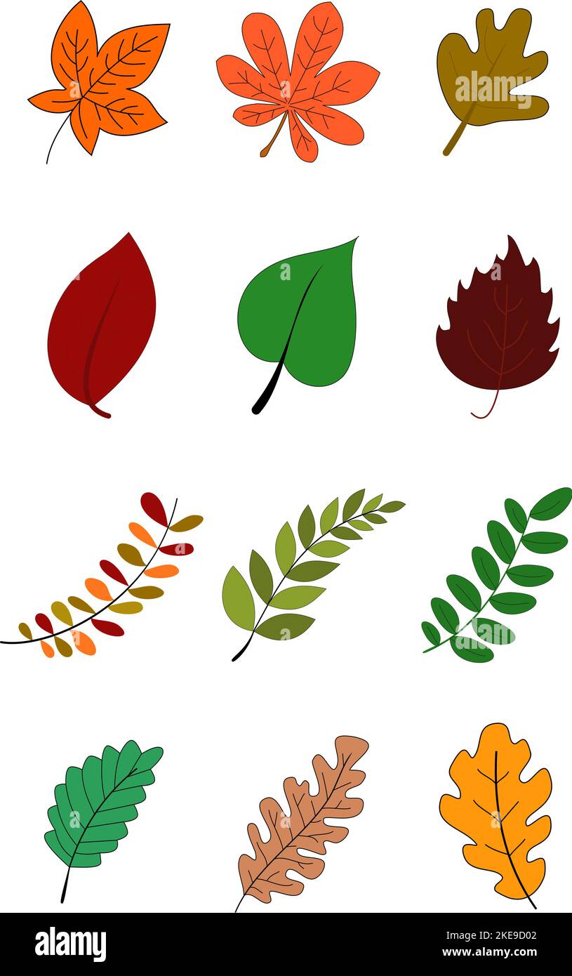 autumn leaves vector design Stock Vector Image & Art - Alamy