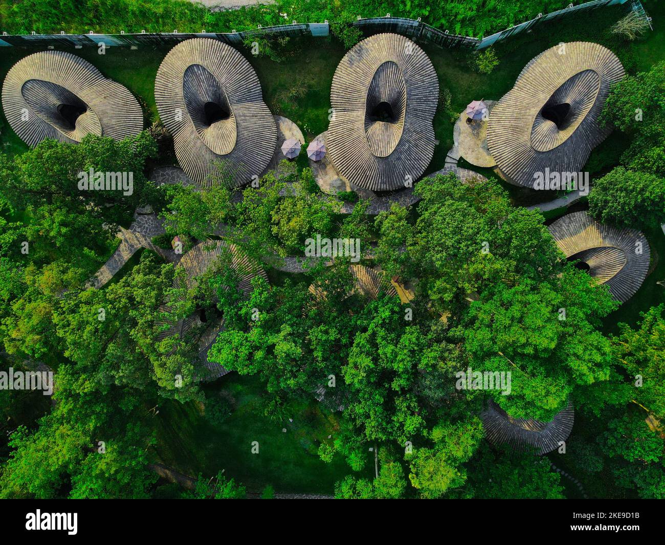 Aerial photos show a homestay hidden in the bamboo forest, which looks ...