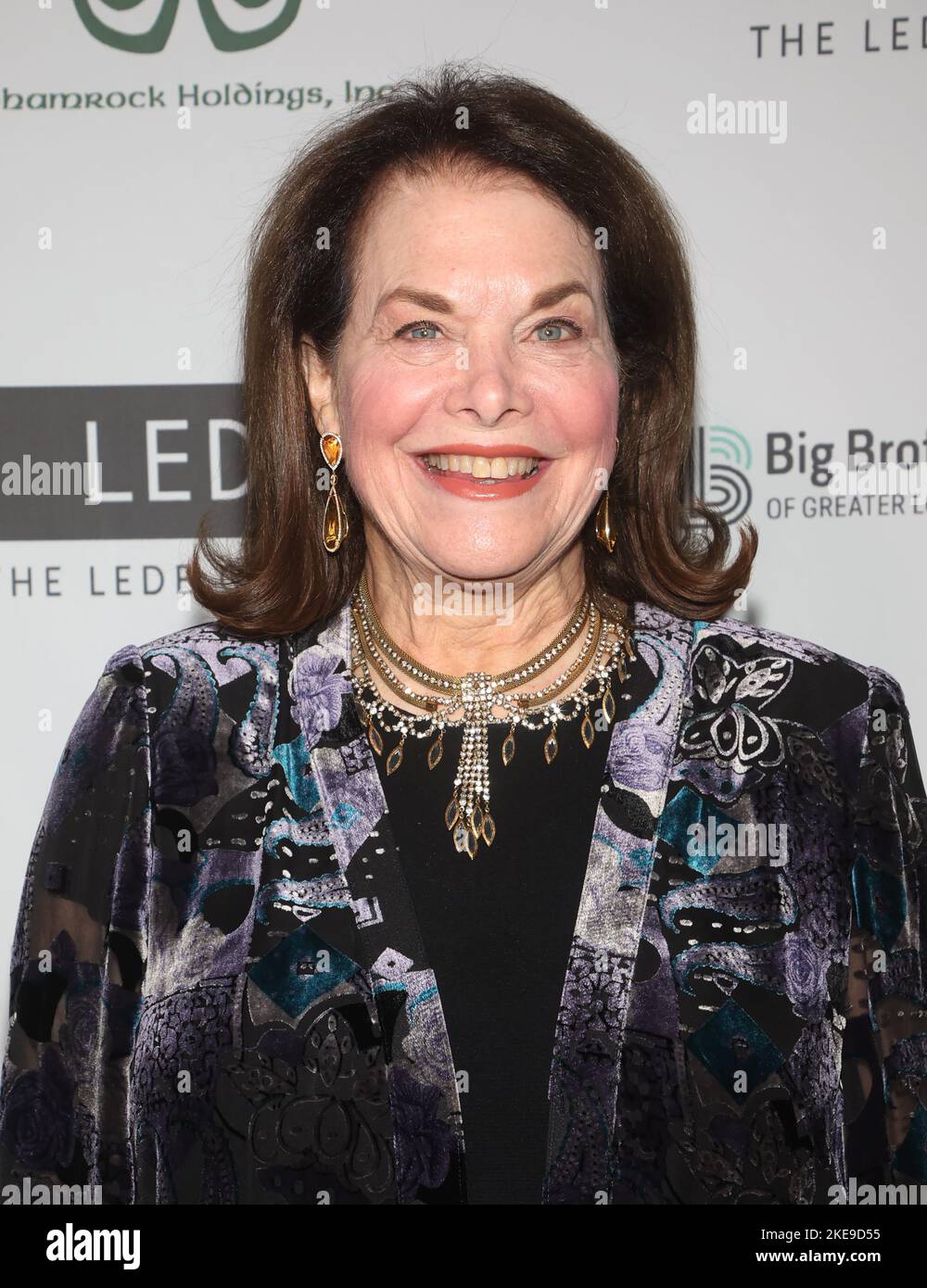 Los Angeles, California, USA. 10th Nov, 2022. Sherry Lansing Big ...