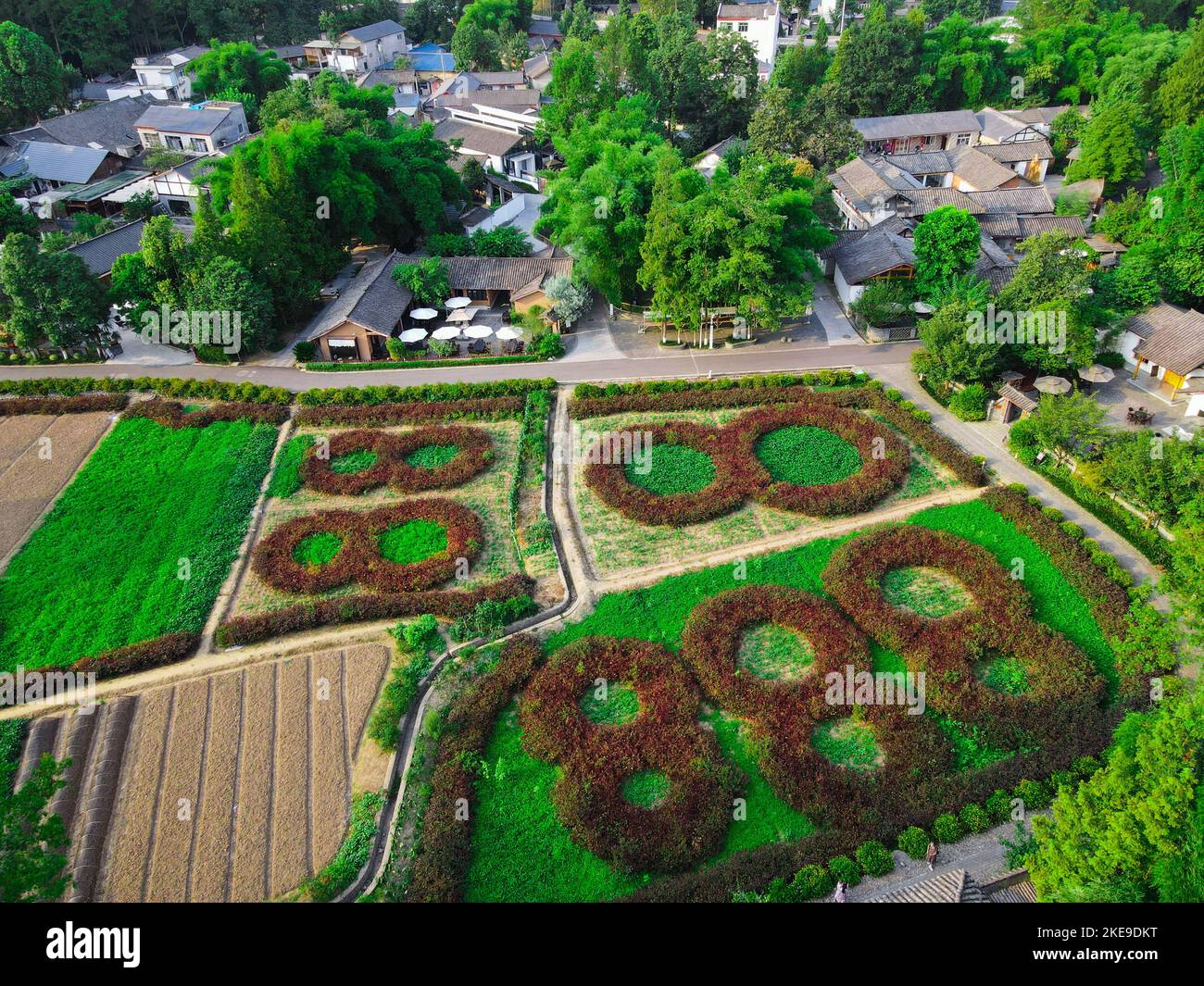 Aerial photos show a homestay hidden in the bamboo forest, which looks ...
