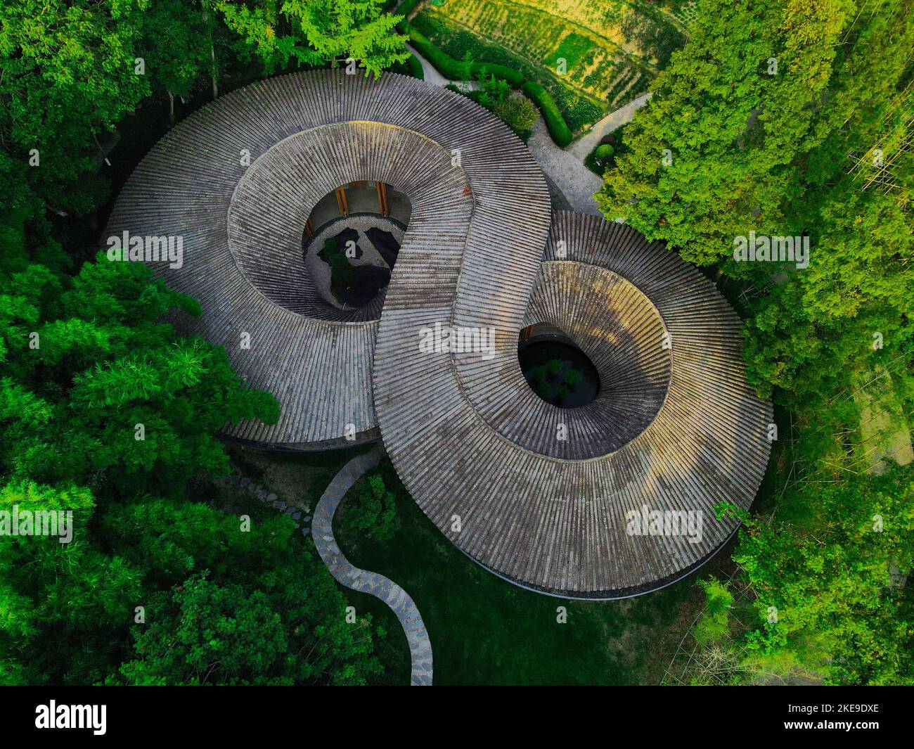 Aerial photos show a homestay hidden in the bamboo forest, which looks ...