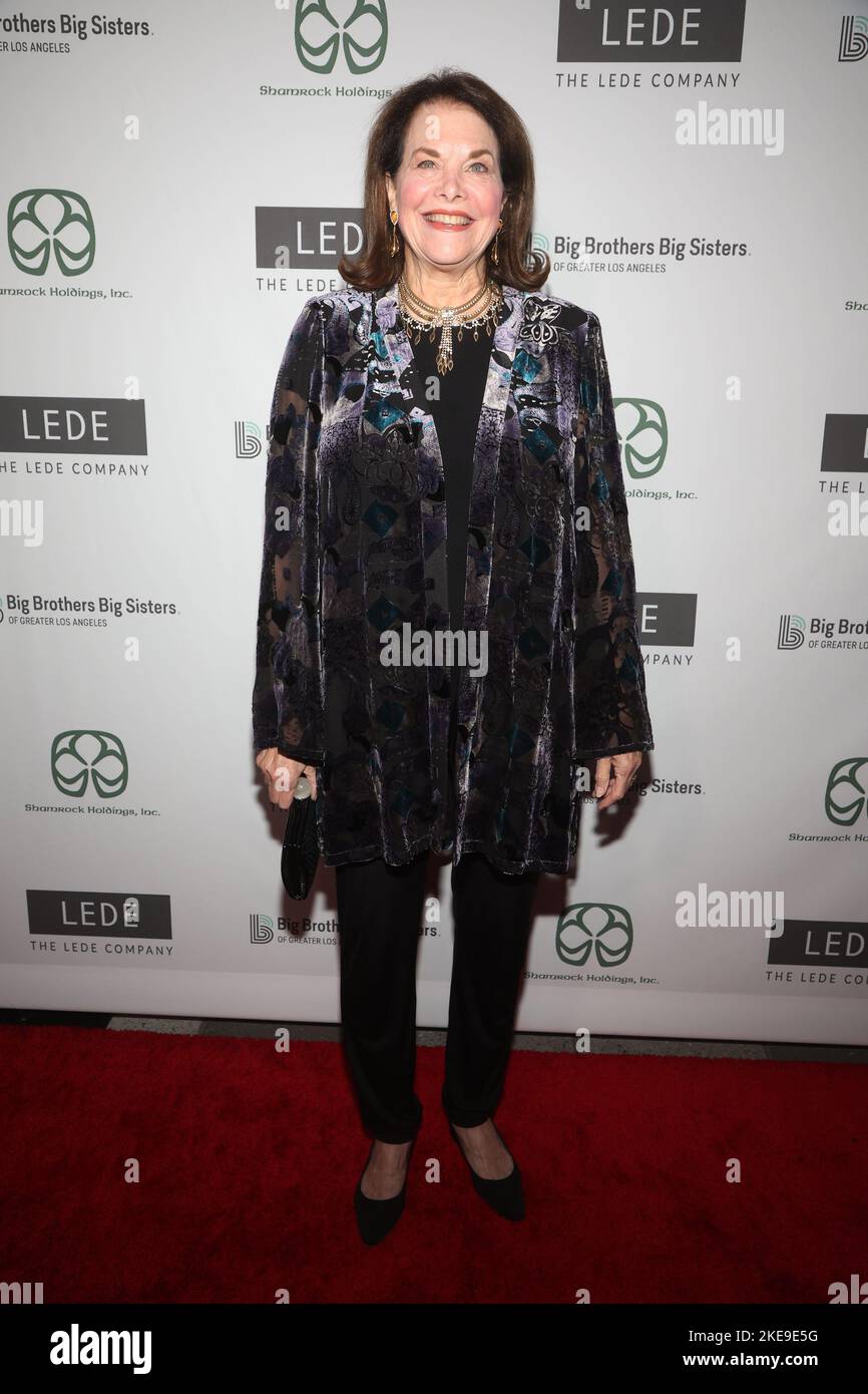 10 November 2022 -Los Angeles, California - Sherry Lansing Big Brothers ...