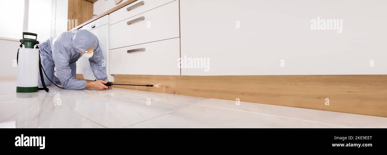 Pest control man hi-res stock photography and images - Alamy