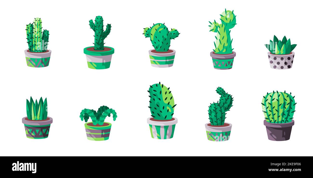 Cactus set collection potted icon cartoon illustration indor gardening ...