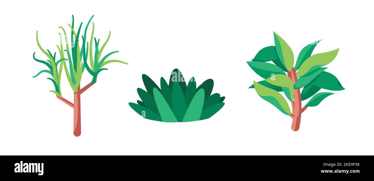 Plant illustration in green with stemp and foliage leaf Stock Vector ...