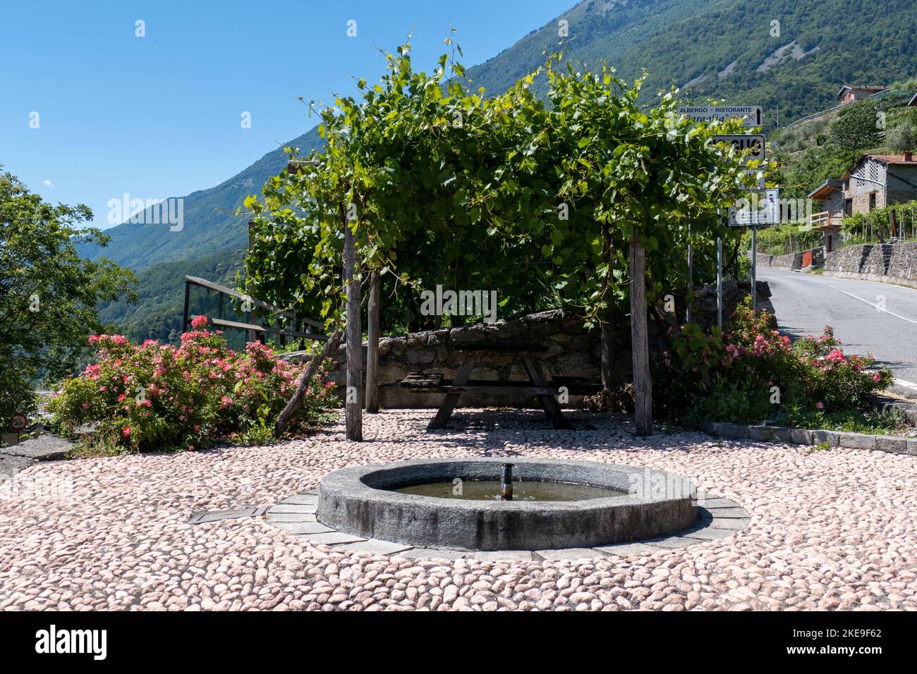A small fountain with a bench under the trees in the background Stock ...