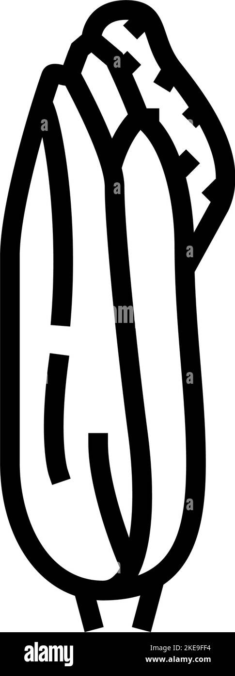 Corn cob plant line Black and White Stock Photos & Images - Alamy