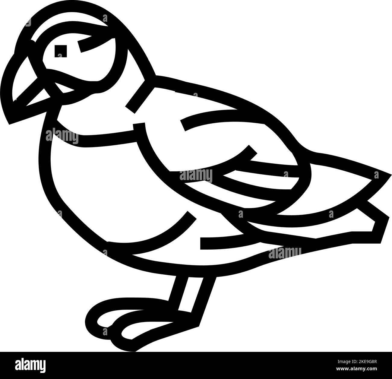 atlantic puffin bird exotic line icon vector illustration Stock Vector ...