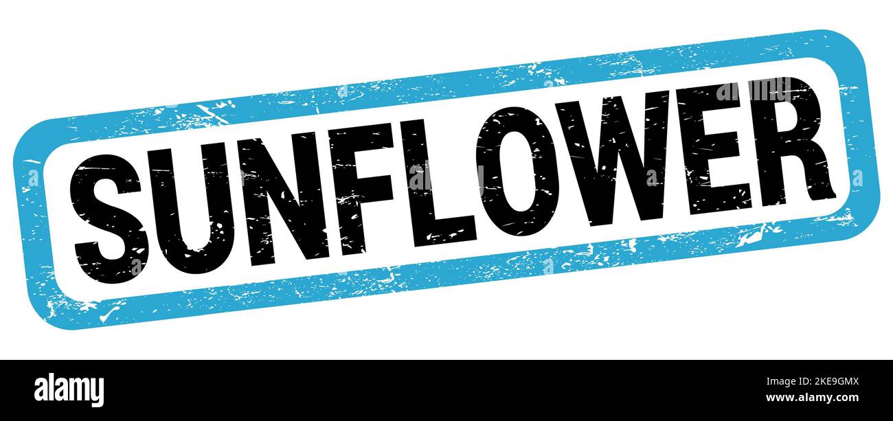 SUNFLOWER text written on blue-black rectangle stamp sign Stock Photo ...