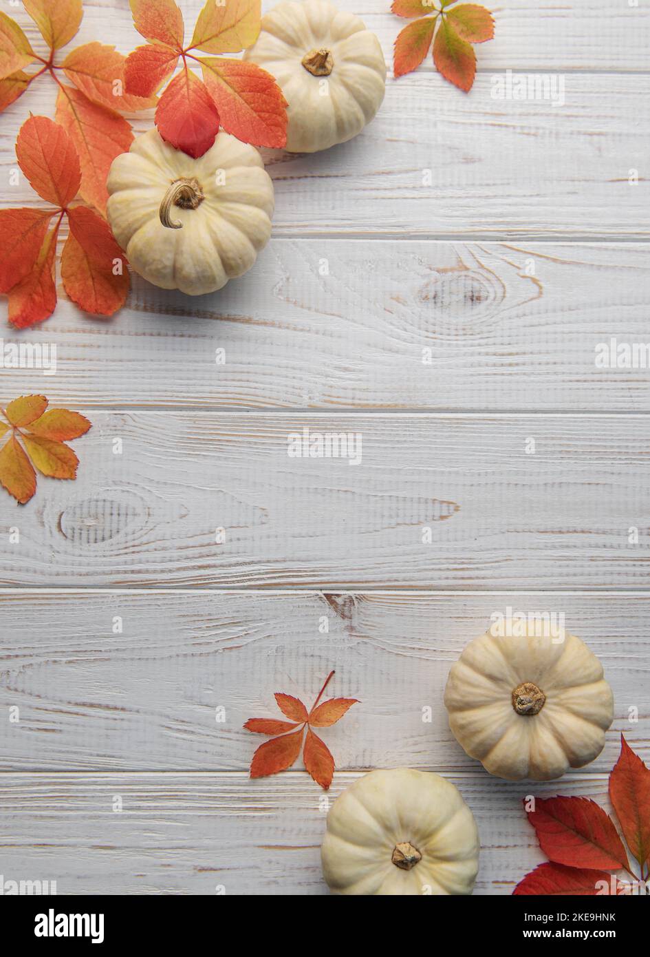 Thanksgiving season still life with small pumpkins and fall leaves over ...