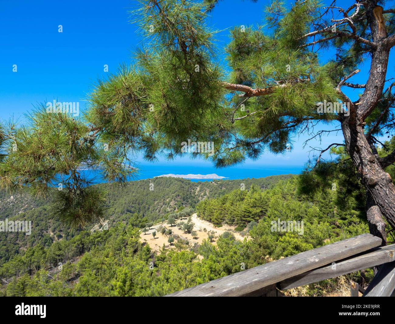 Panoramic view of typical greek mediterranean landscape with hill, fir ...