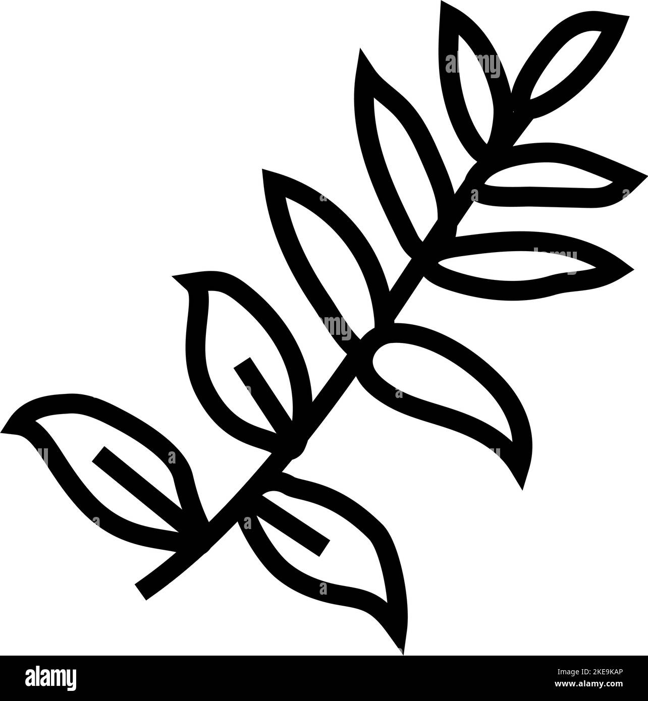 zamioculcas tropical leaf line icon vector illustration Stock Vector Image & Art - Alamy