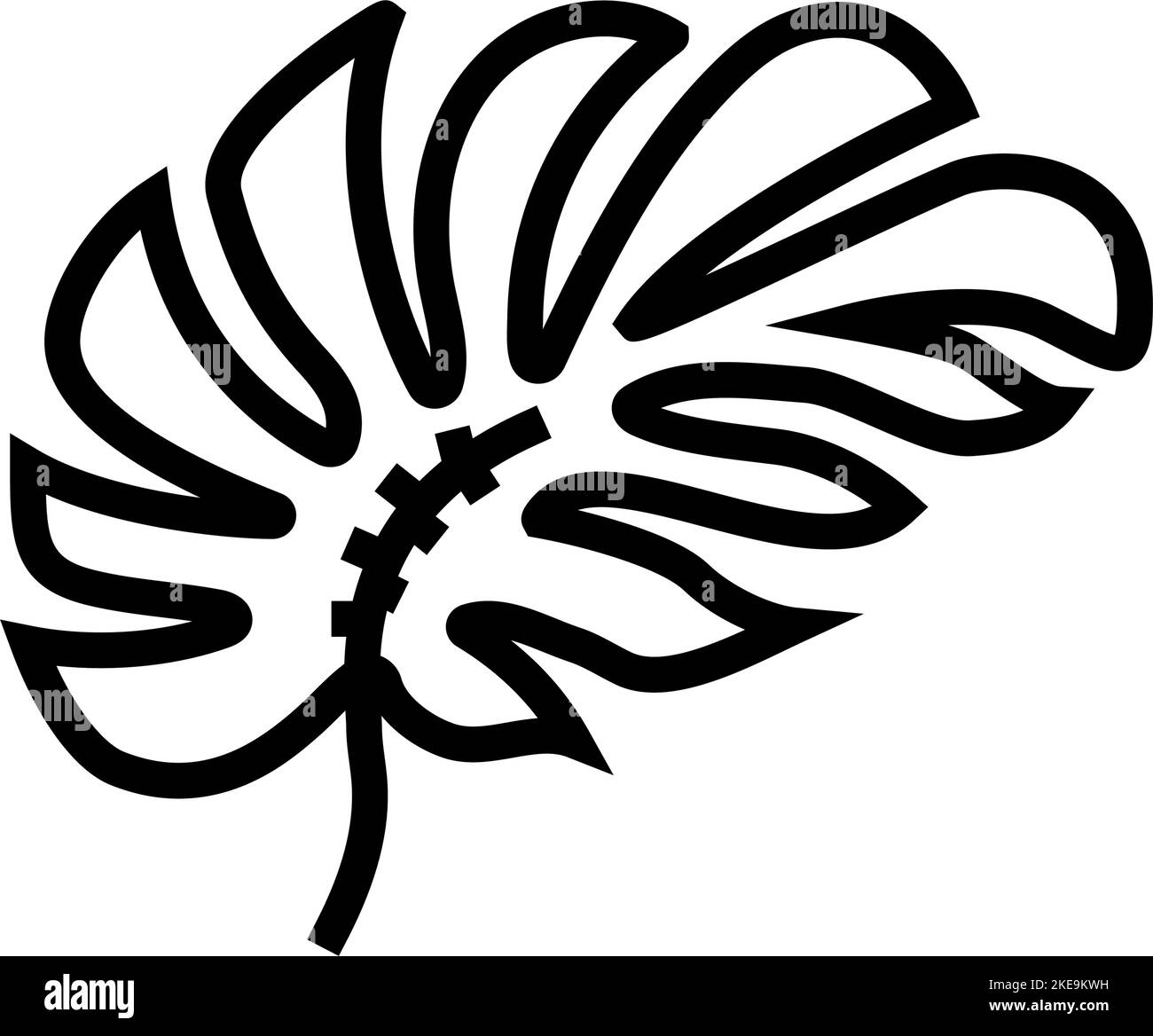 monstera leaf plant line icon vector illustration Stock Vector Image ...