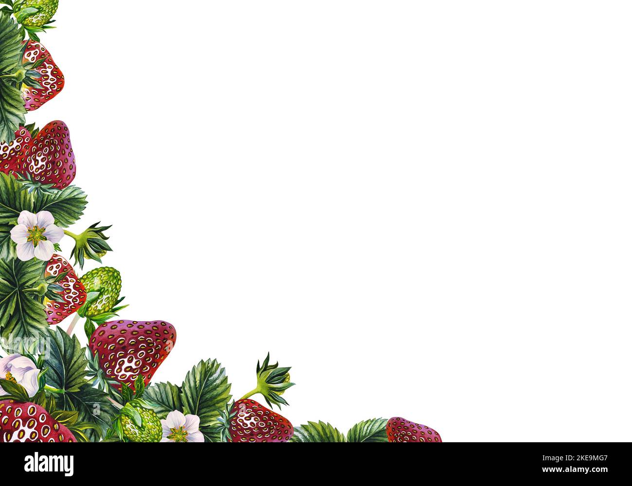 Frame with strawberries. Watercolor illustration. For design solutions ...