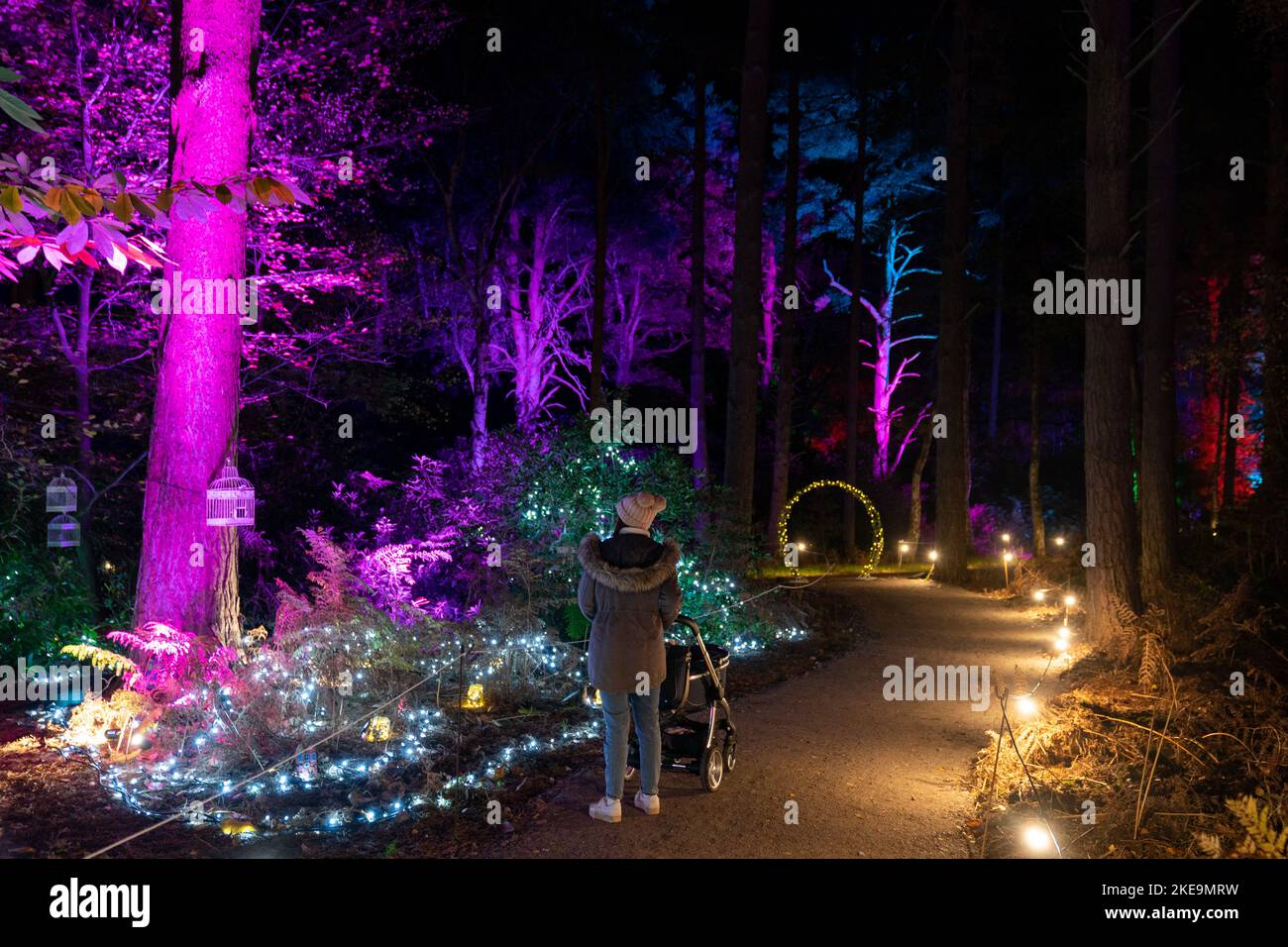 A preview of Luminate Sandringham, the Sandringham Estate winter light ...