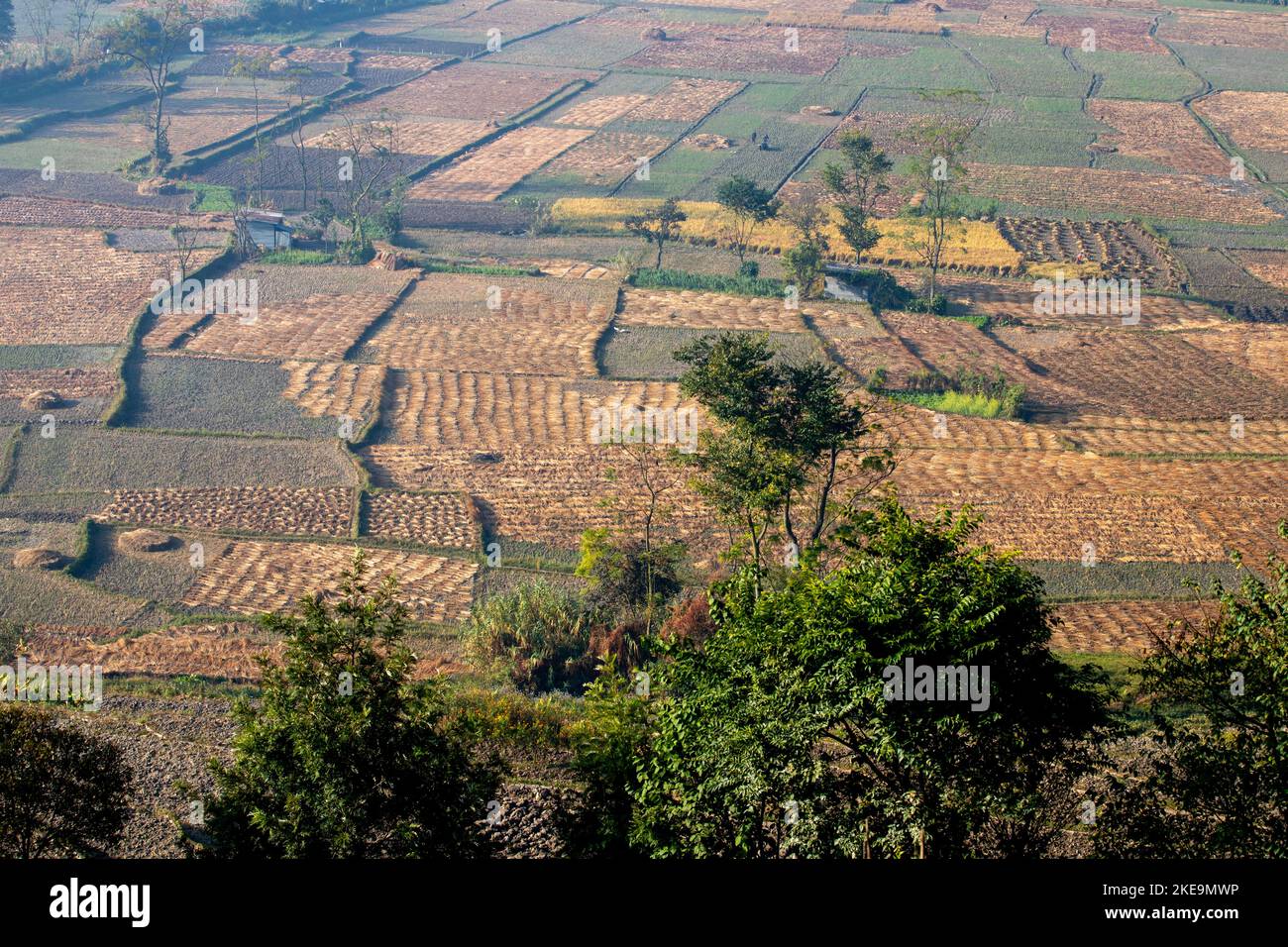 Rice field of countryside Nepal Stock Photo - Alamy