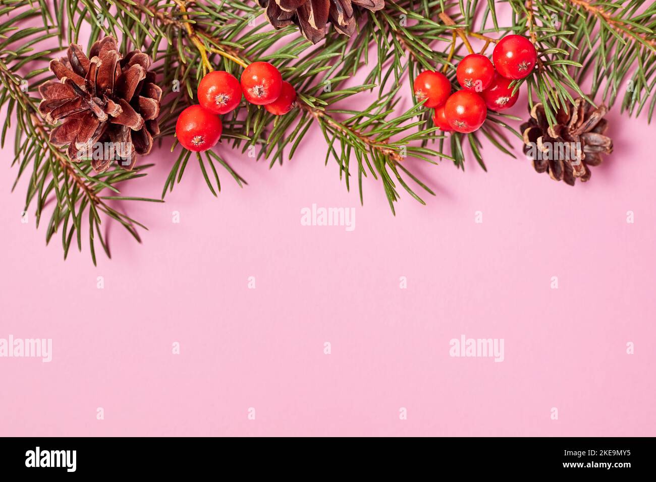 Christmas composition of fir branches, cones and rowan berries on a ...