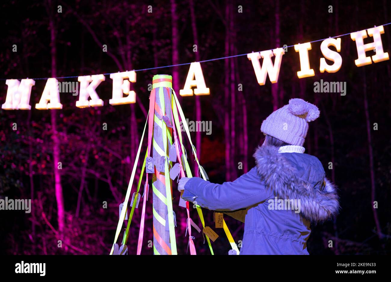 Visitors explore Luminate Sandringham, the Sandringham Estate winter ...