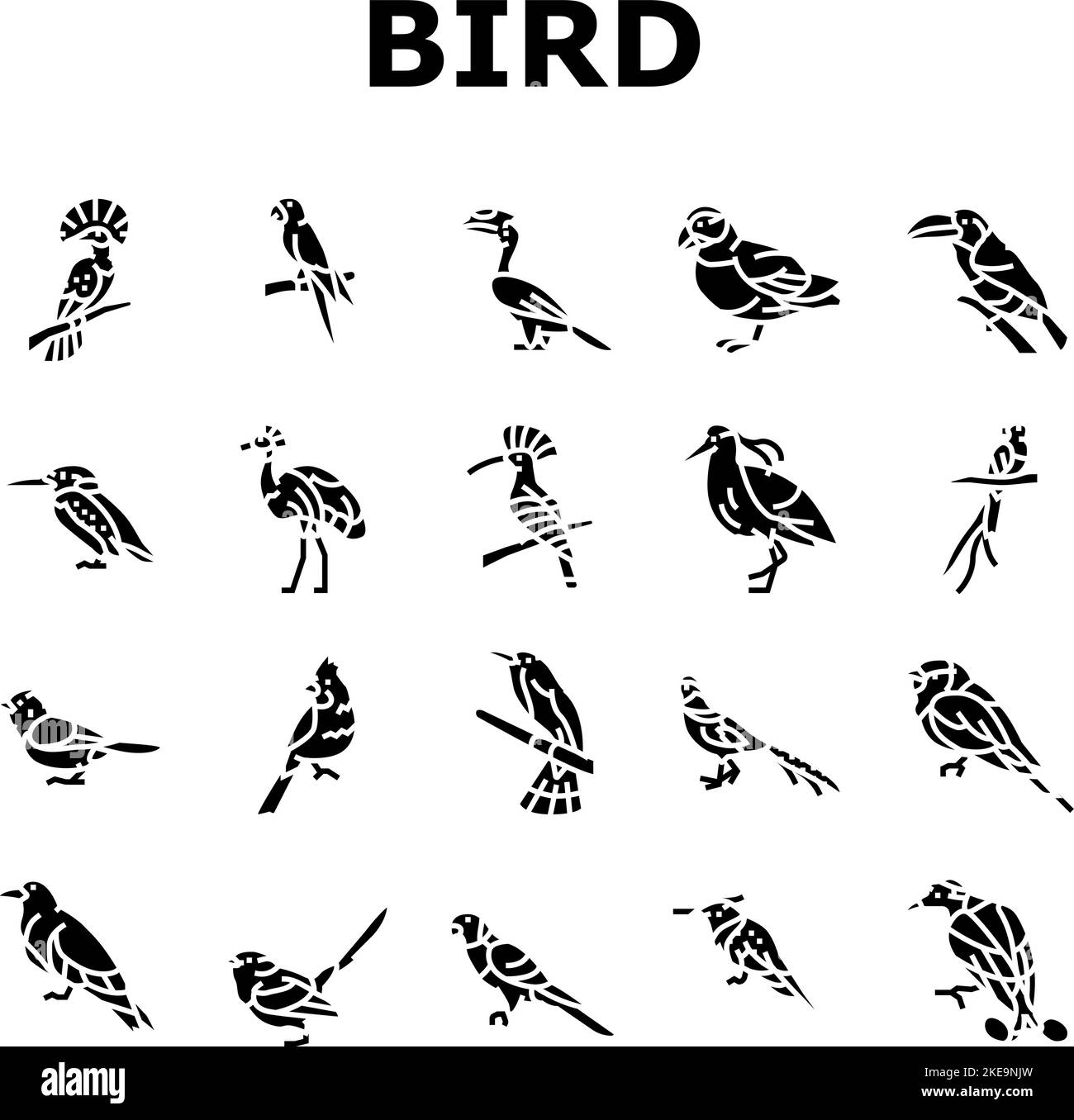 bird exotic animal nature wild icons set vector Stock Vector Image ...