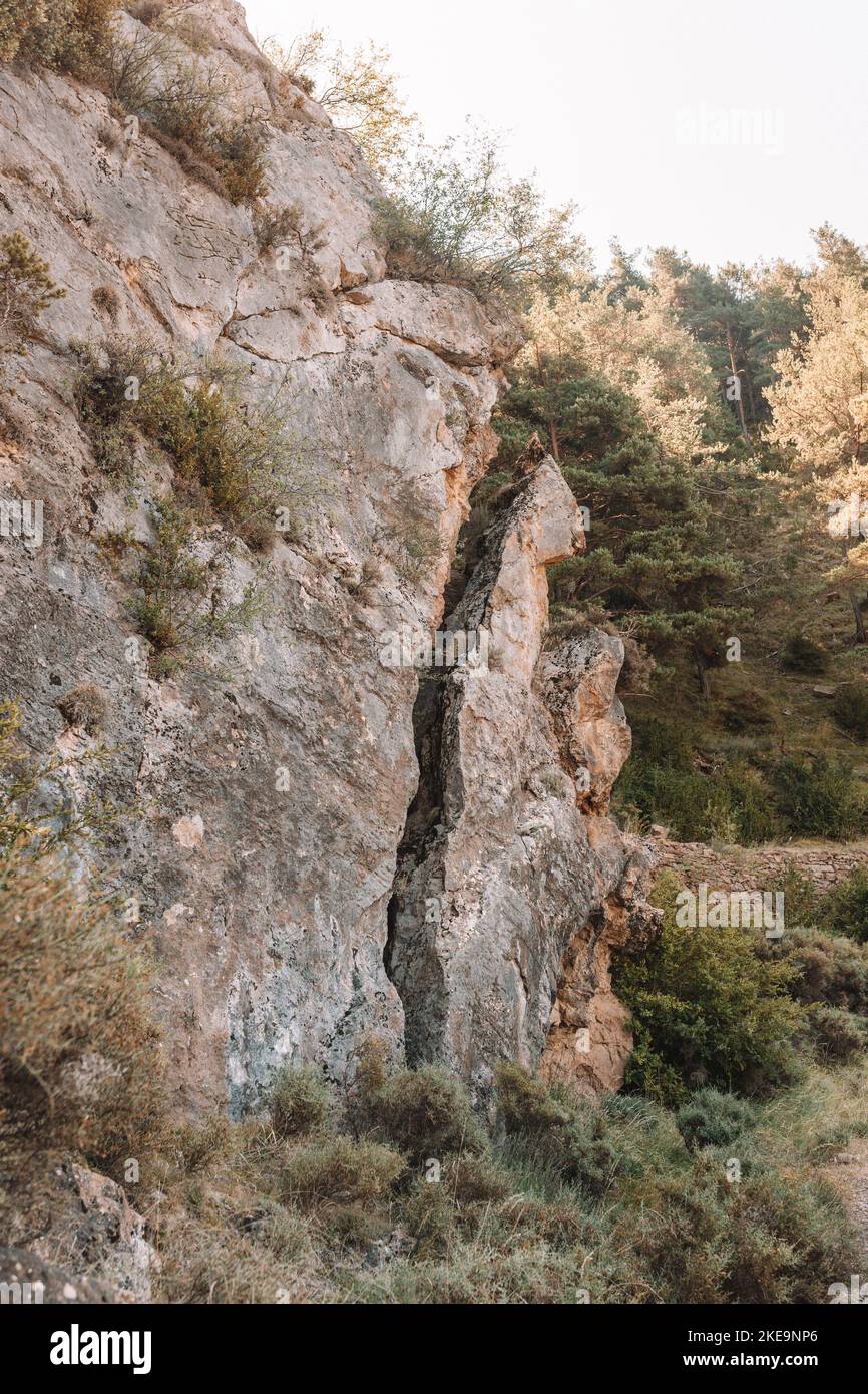 A rocky cliff with wild grass with sunlight, vertical shot Stock Photo ...