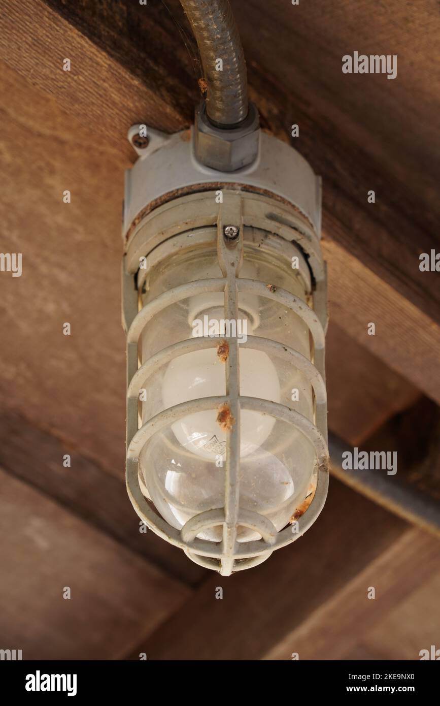 Outdoor Caged Lightbulb at Campground Stock Photo - Alamy