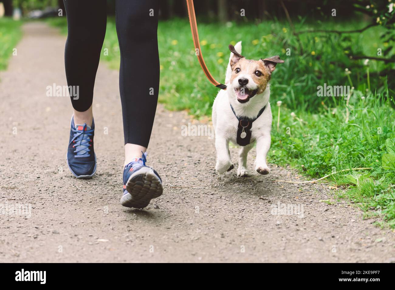 Woman running with dog hi-res stock photography and images - Alamy