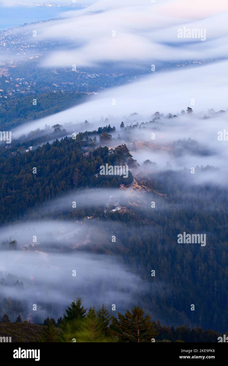 A breathtaking aerial view of forests covered with fog. Great for phone ...