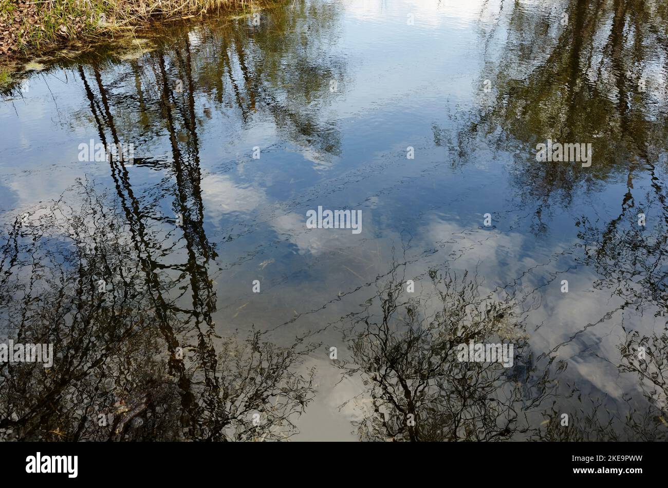 Beautiful river landscape. Reflection in the water of the river. Lake ...