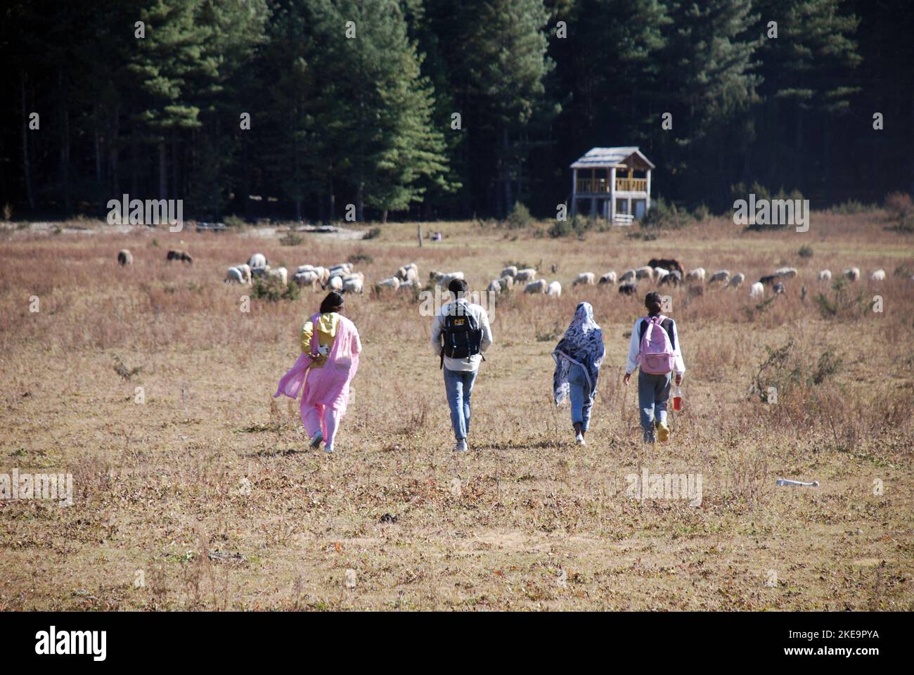 rara lake National park Nepal Stock Photo - Alamy