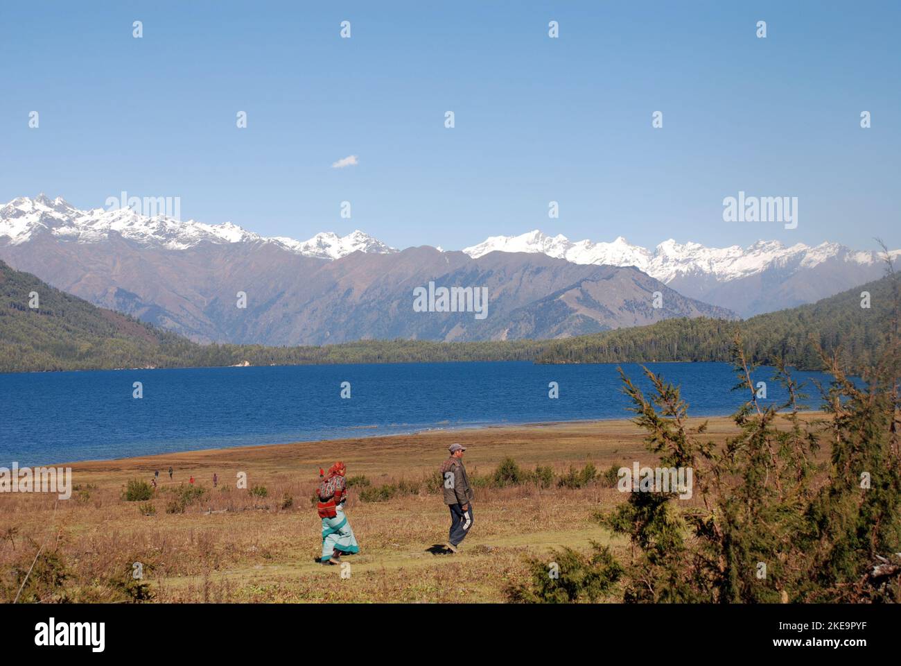a couple cross an area of open land in the forests close to the shore ...