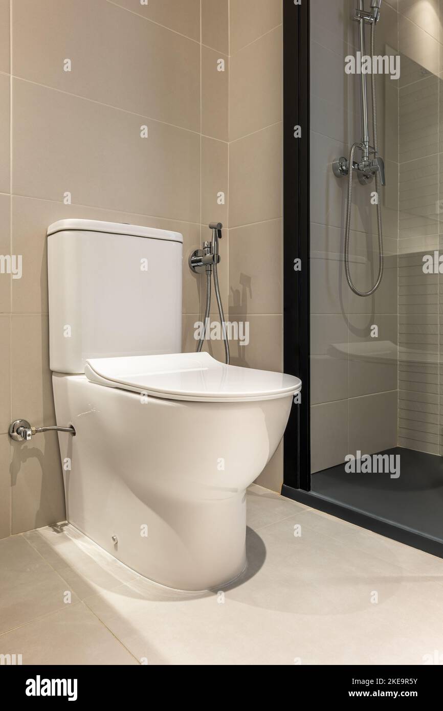 White toilet bowl with bidet shower with wall moun in a modern bathroom ...
