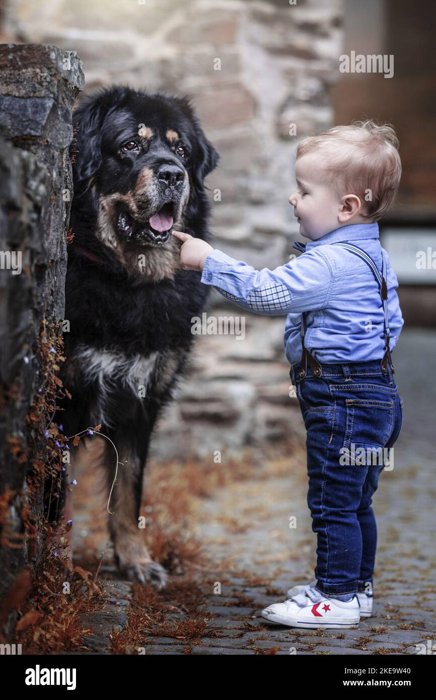 Do Khyi with boy Stock Photo - Alamy