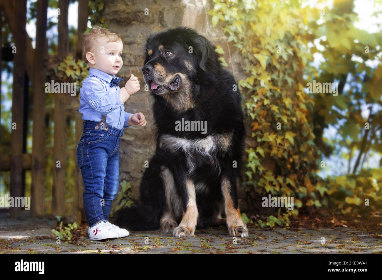 Do Khyi with boy Stock Photo - Alamy