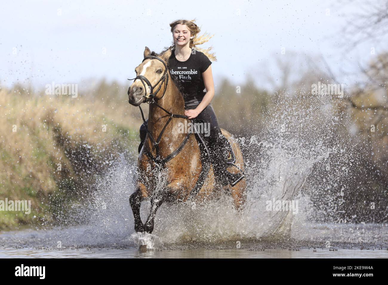 Dun rider riding canter cantering hi-res stock photography and images ...