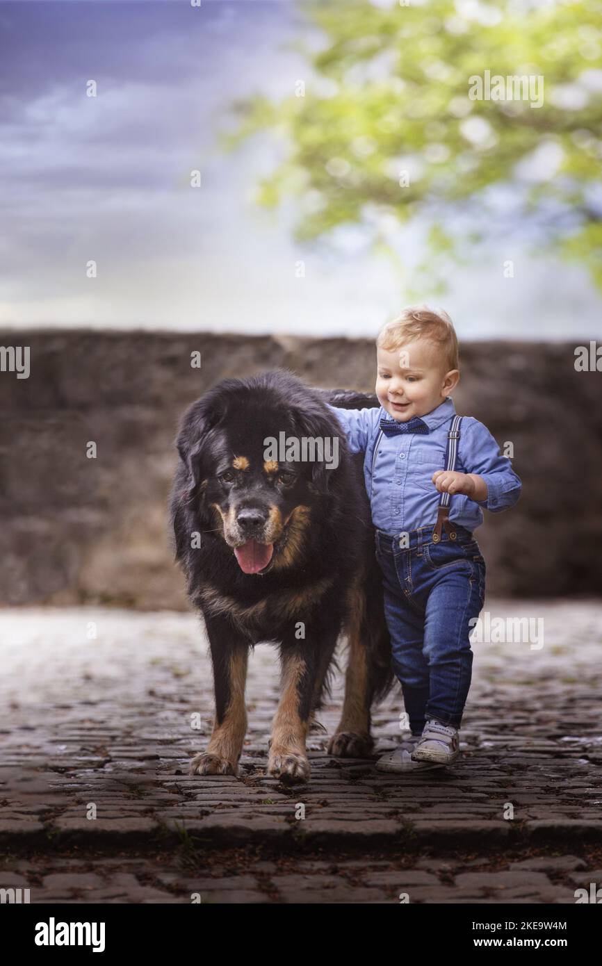 Do Khyi with boy Stock Photo - Alamy