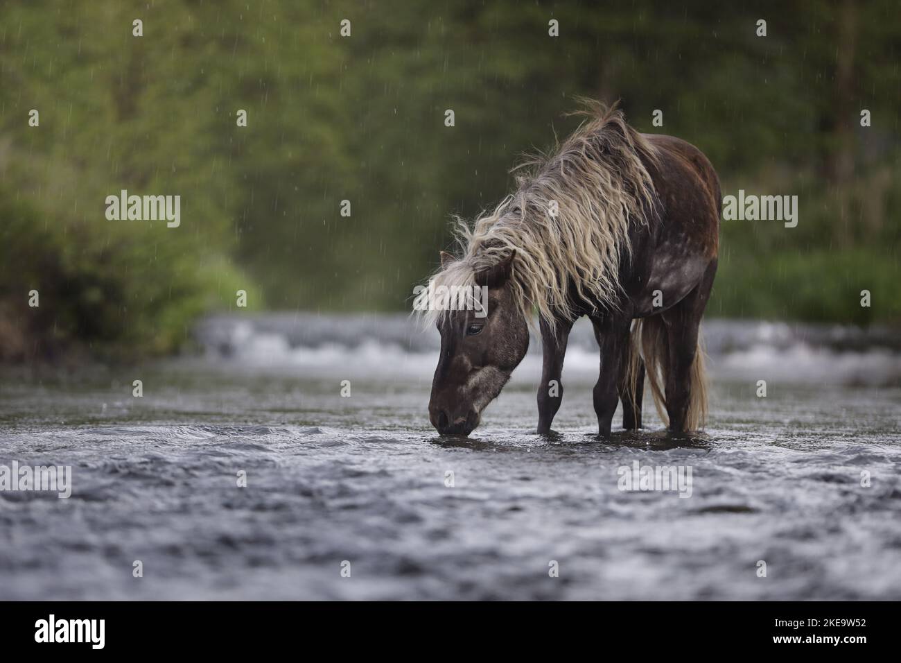 Classic shores hi-res stock photography and images - Alamy