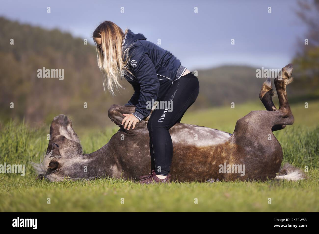 German Classic Pony Stock Photo - Alamy