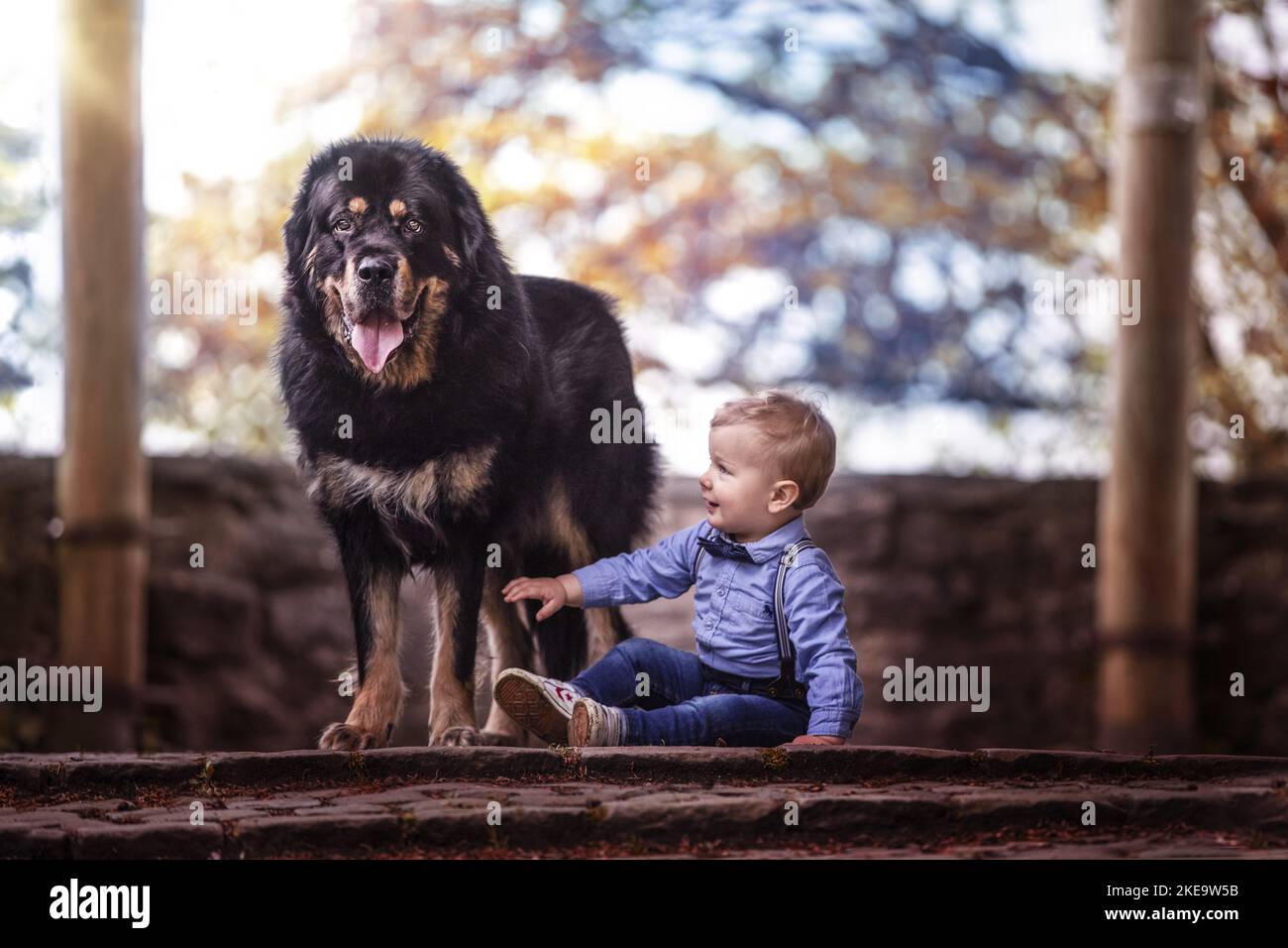 Do Khyi with boy Stock Photo - Alamy