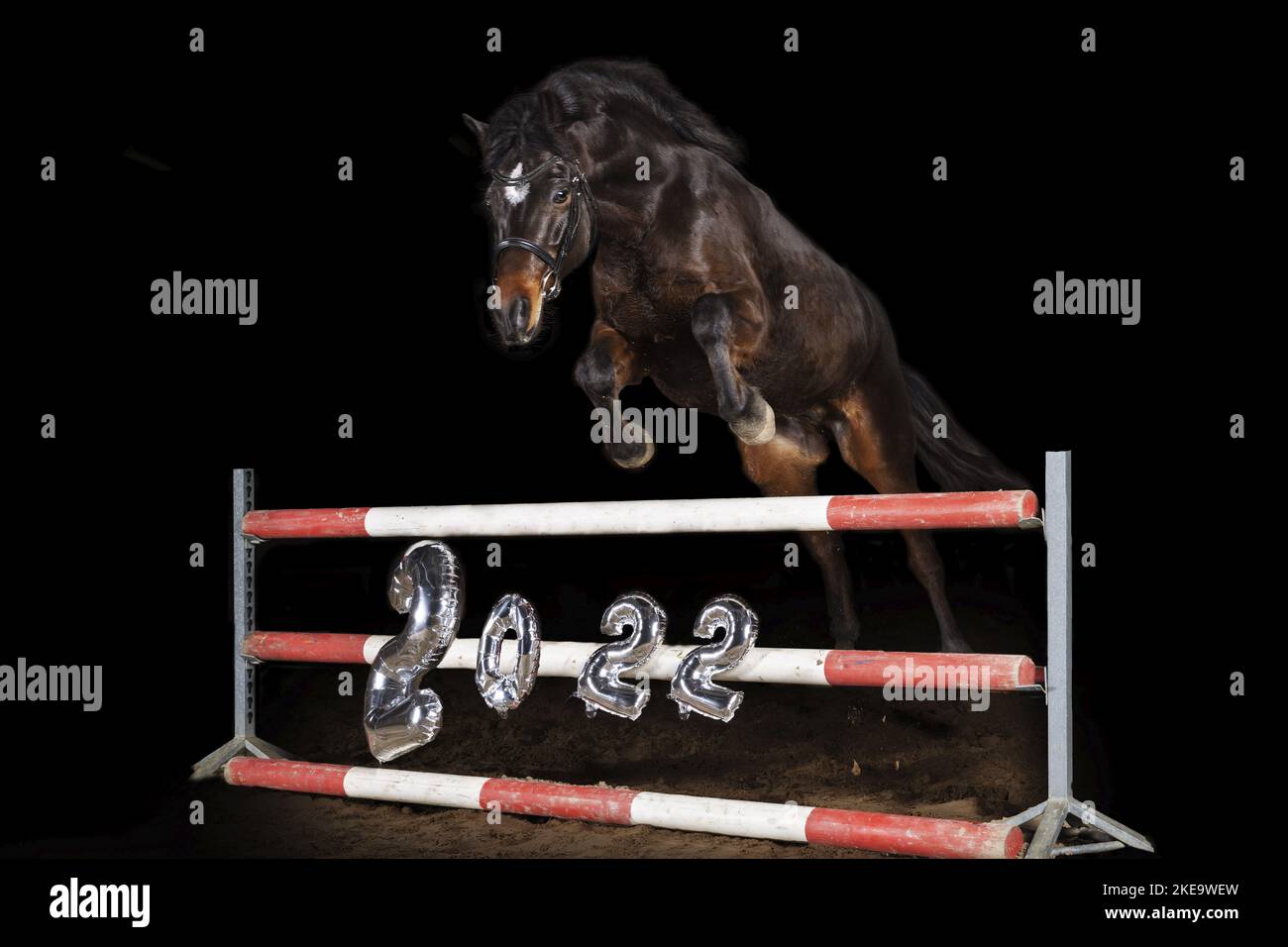 Welsh pony jumping hi-res stock photography and images - Alamy