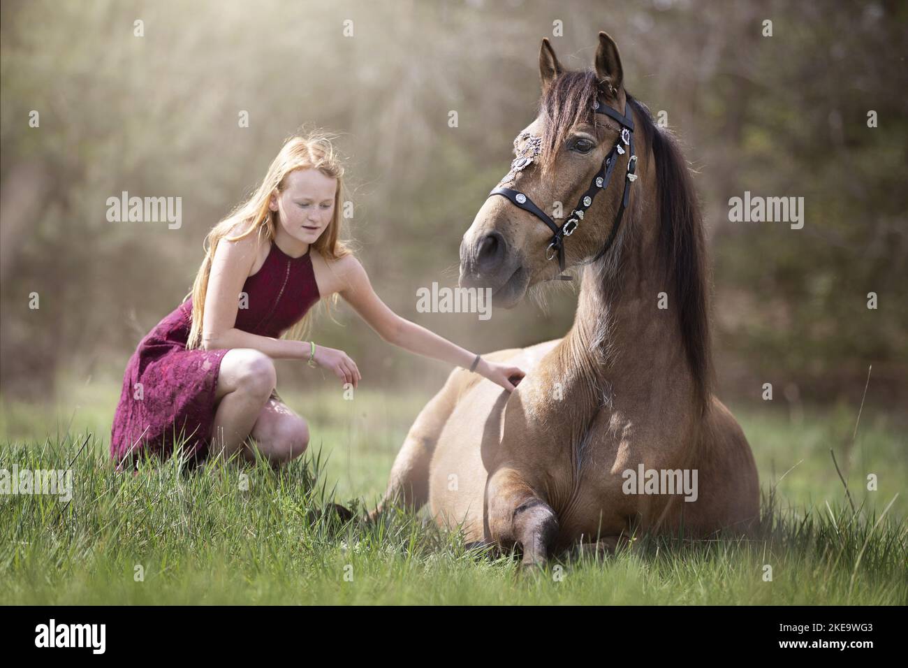 Pre cross hi-res stock photography and images - Alamy