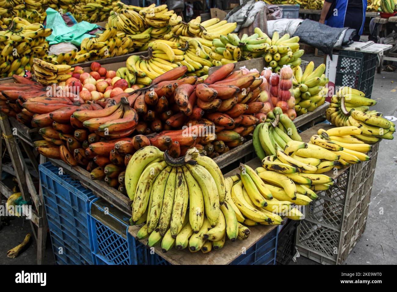 Latacunga is a plateau town of Ecuador, capital of the Cotopaxi ...
