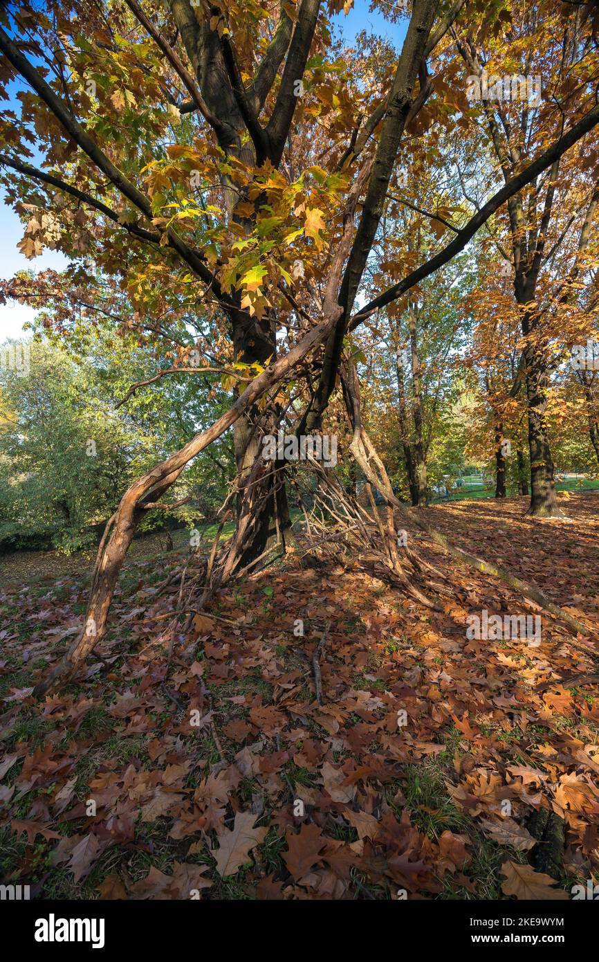Wide lens landscape with colorful autumn foliage in Italy, no people ...