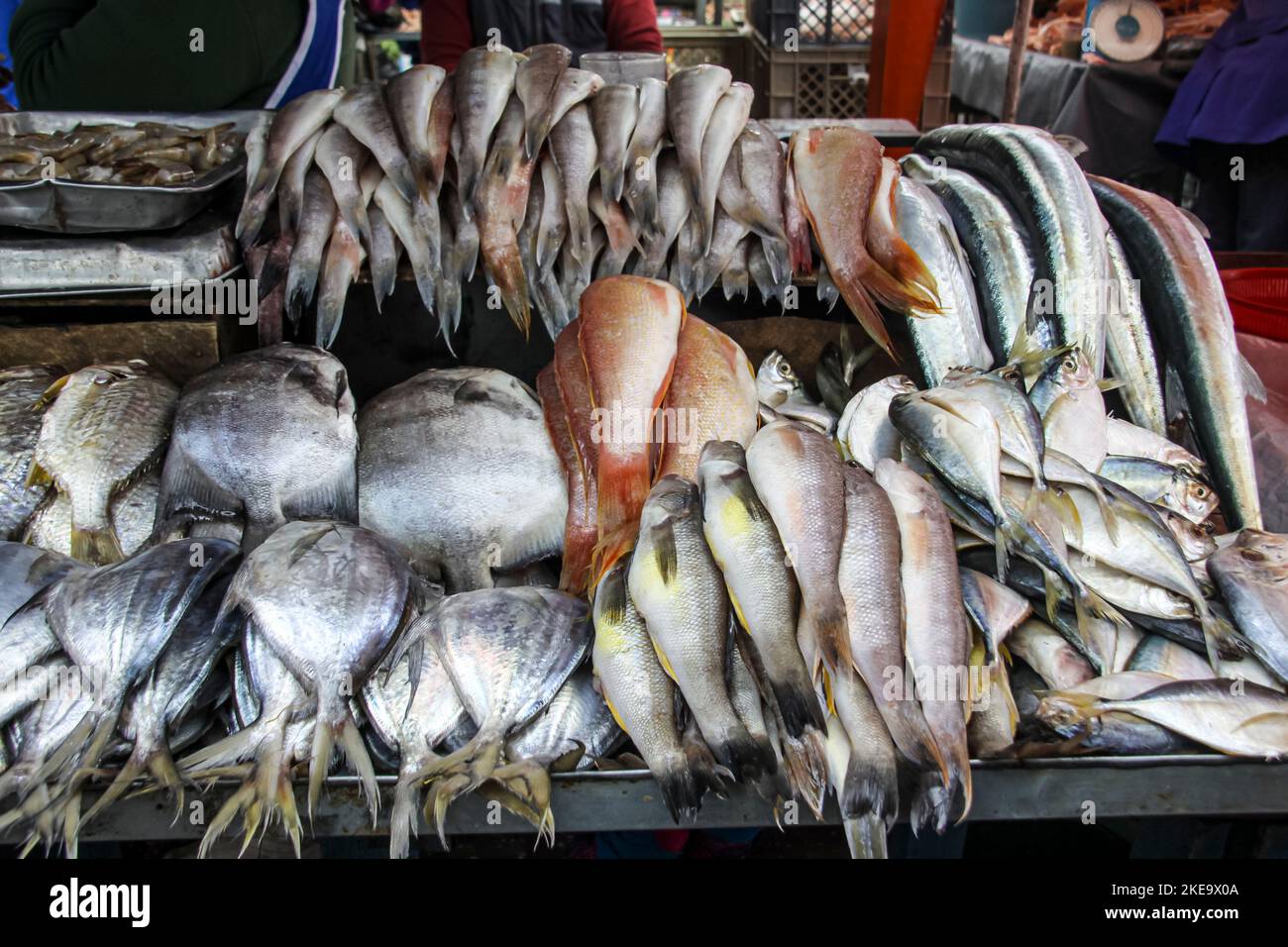 Latacunga is a plateau town of Ecuador, capital of the Cotopaxi ...