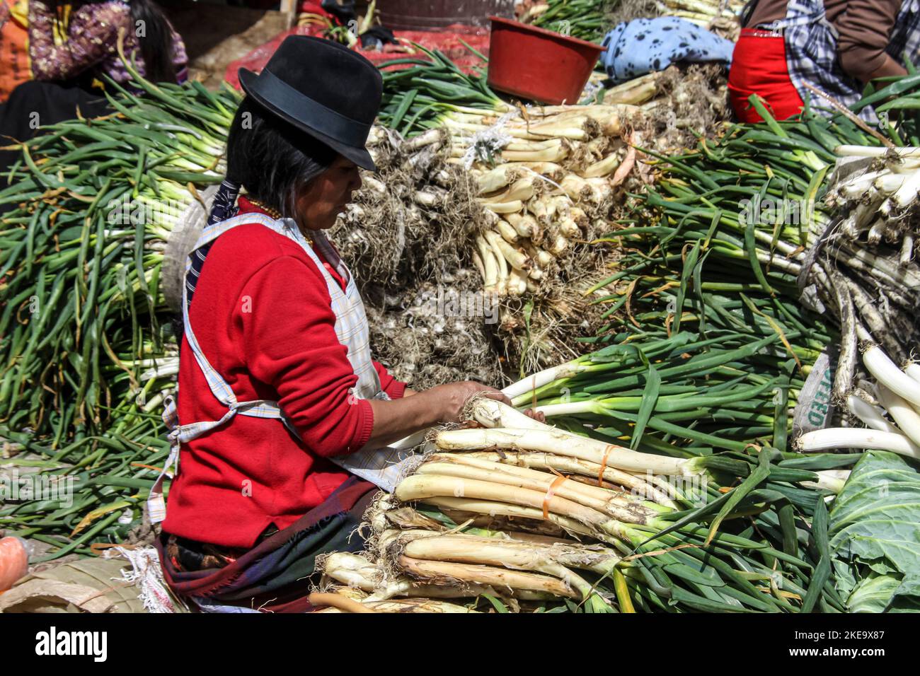 Latacunga is a plateau town of Ecuador, capital of the Cotopaxi ...