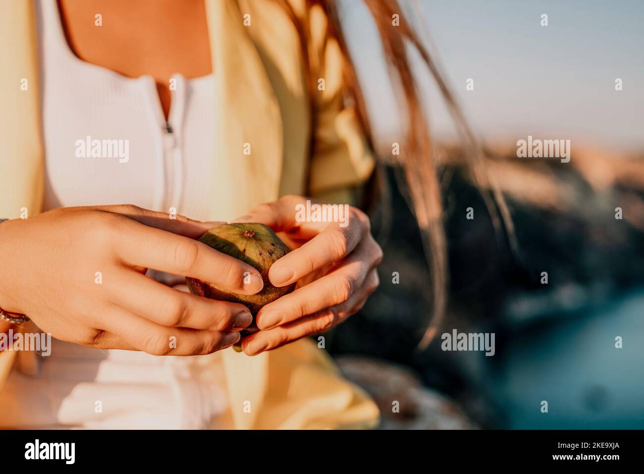 Woman's hands opening a fig to eat. Fresh ripe fig fruit in the hands ...