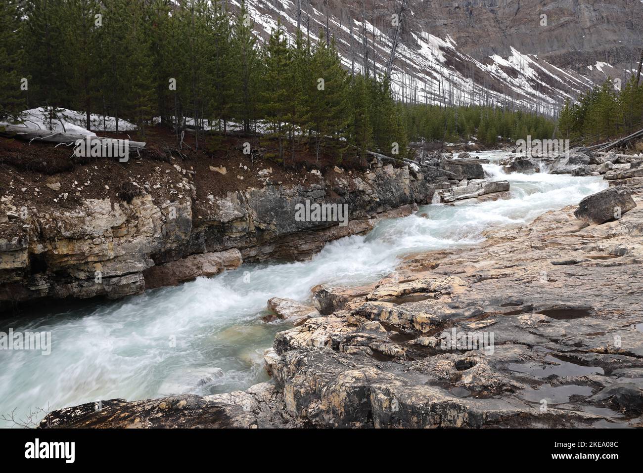 Marble Canyon Kootenay National Park Alberta Canada Stock Photo - Alamy