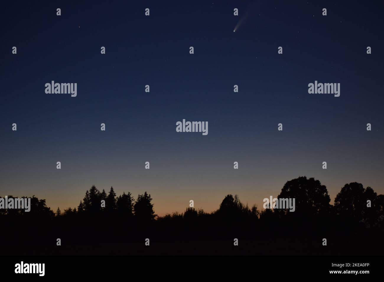 A comet flying in a beautiful night sky over the silhouettes of the ...