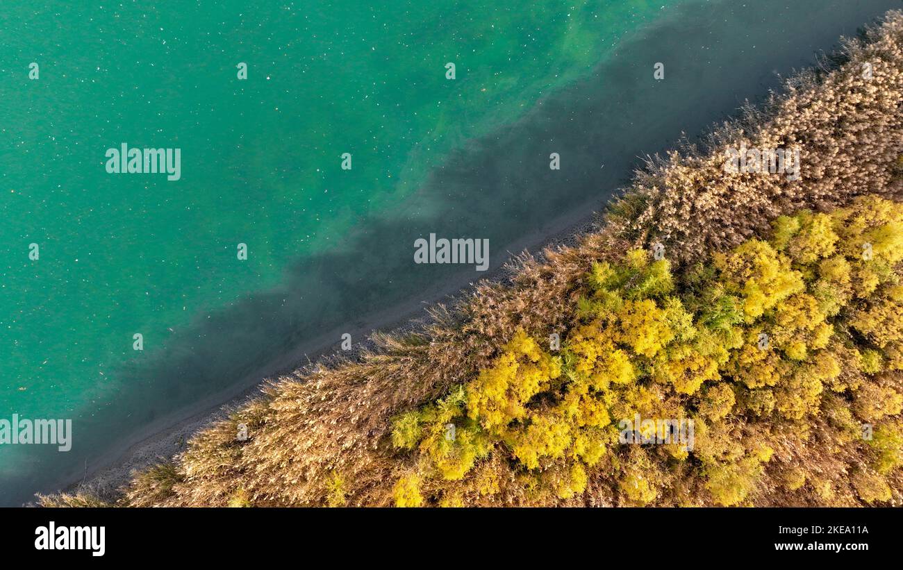 Aerial photos show the autumn scenery by Kaidu River, Bohu County ...